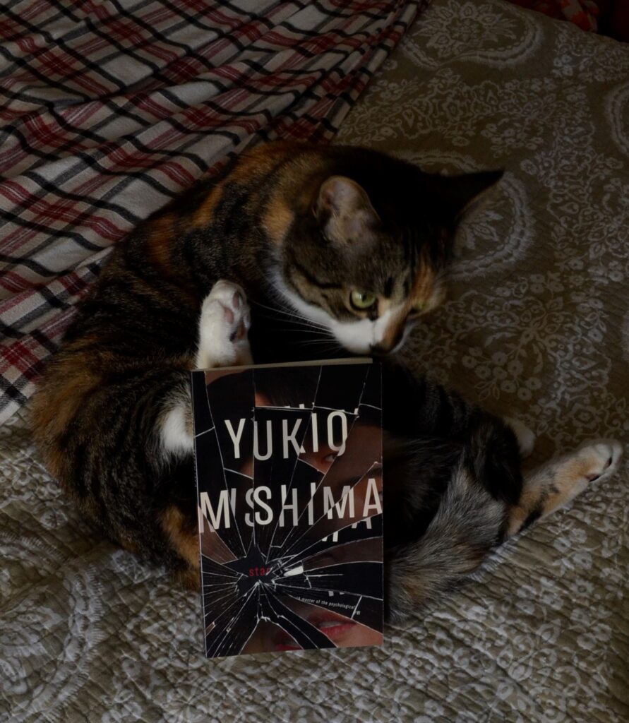 Yukio Mishima (Author) – Old Paper & Cats, Reviews by S. Hargrave
