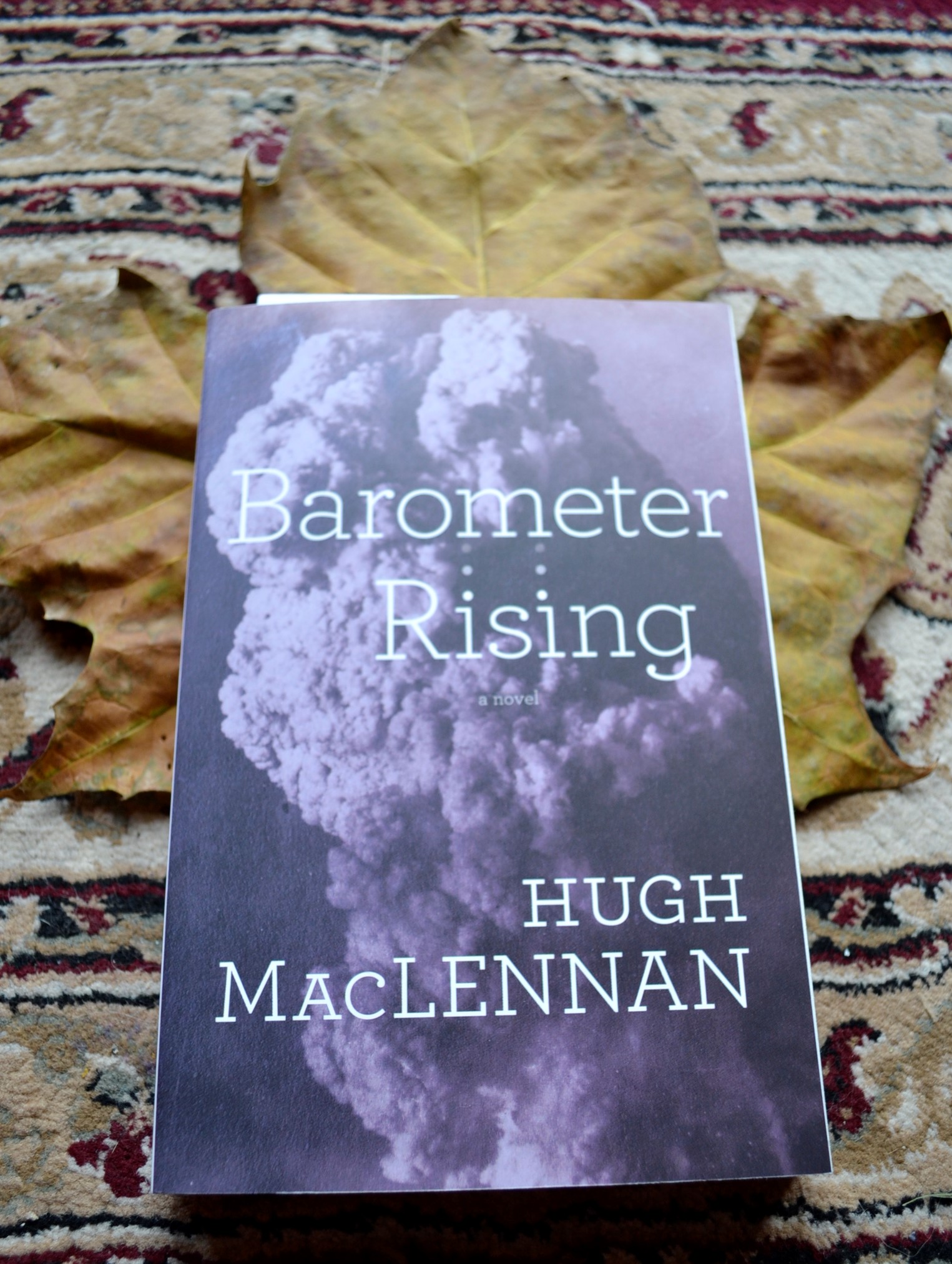 Barometer Rising – Old Paper & Cats, Reviews by S. Hargrave