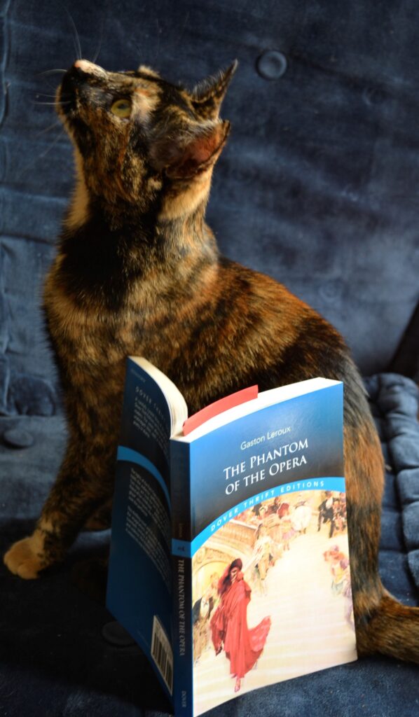 The Phantom of the Opera – Old Paper & Cats, Reviews by S. Hargrave