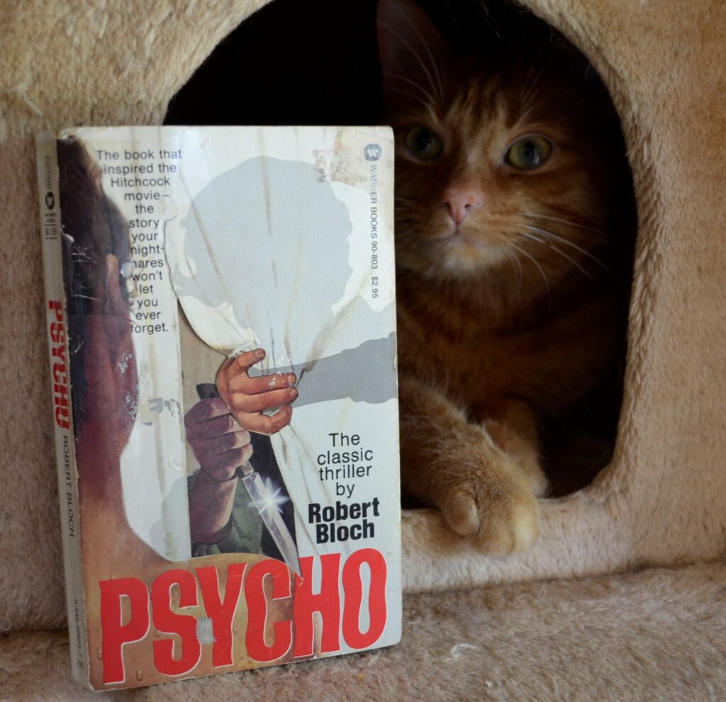 Psycho – Old Paper & Cats, Reviews by S. Hargrave