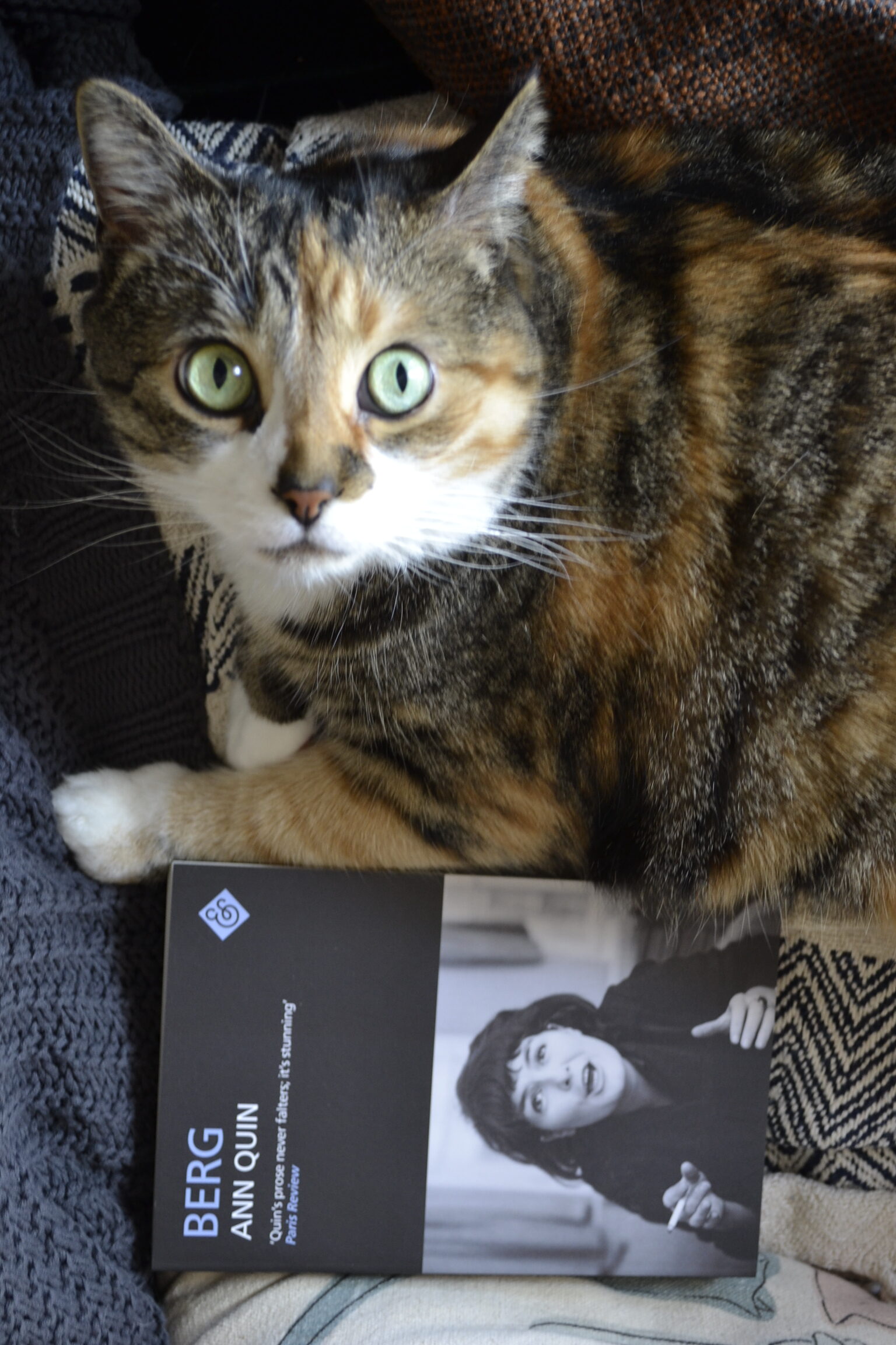 Berg – Old Paper & Cats, Reviews by S. Hargrave