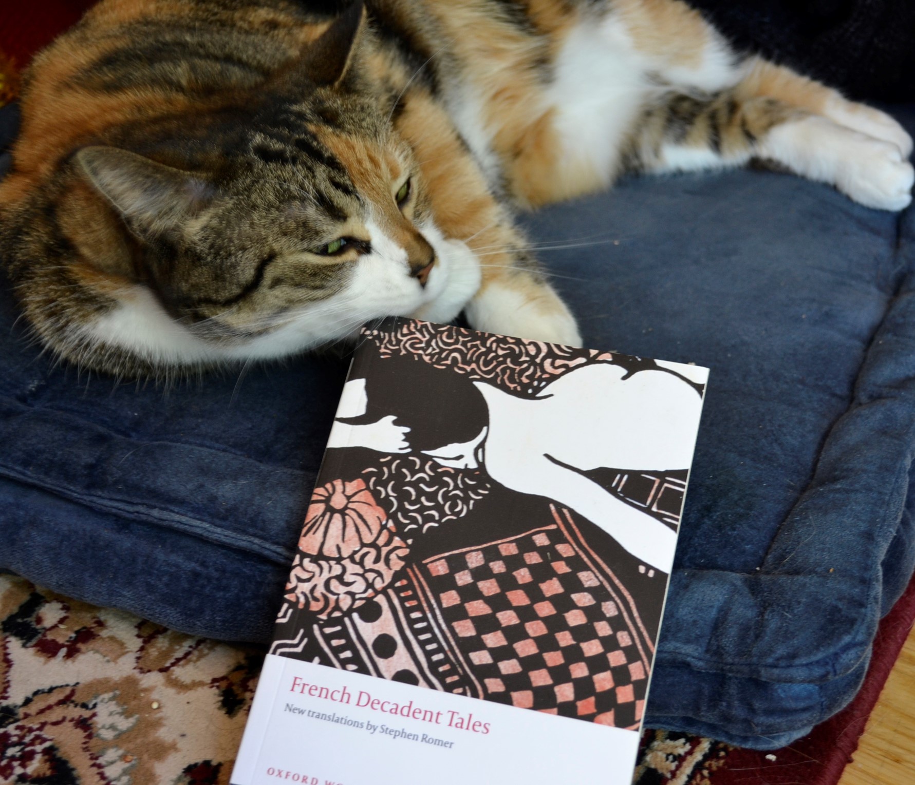 French Decadent Tales – Old Paper & Cats, Reviews by S. Hargrave