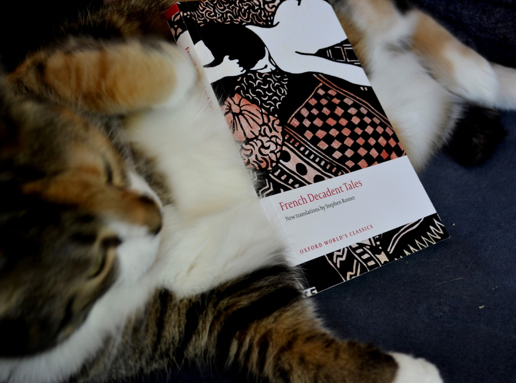 French Decadent Tales – Old Paper & Cats, Reviews by S. Hargrave