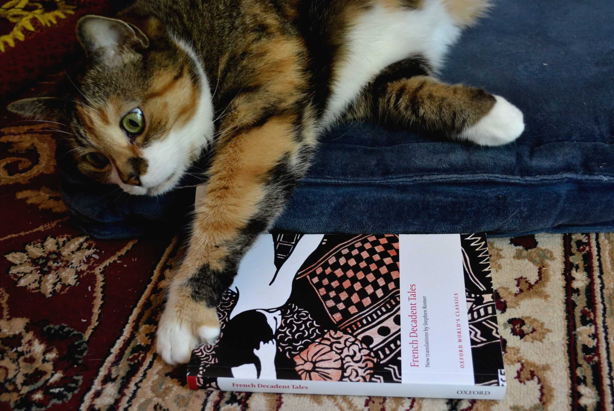 French Decadent Tales – Old Paper & Cats, Reviews by S. Hargrave