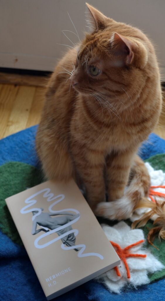 HERmione – Old Paper & Cats, Reviews by S. Hargrave