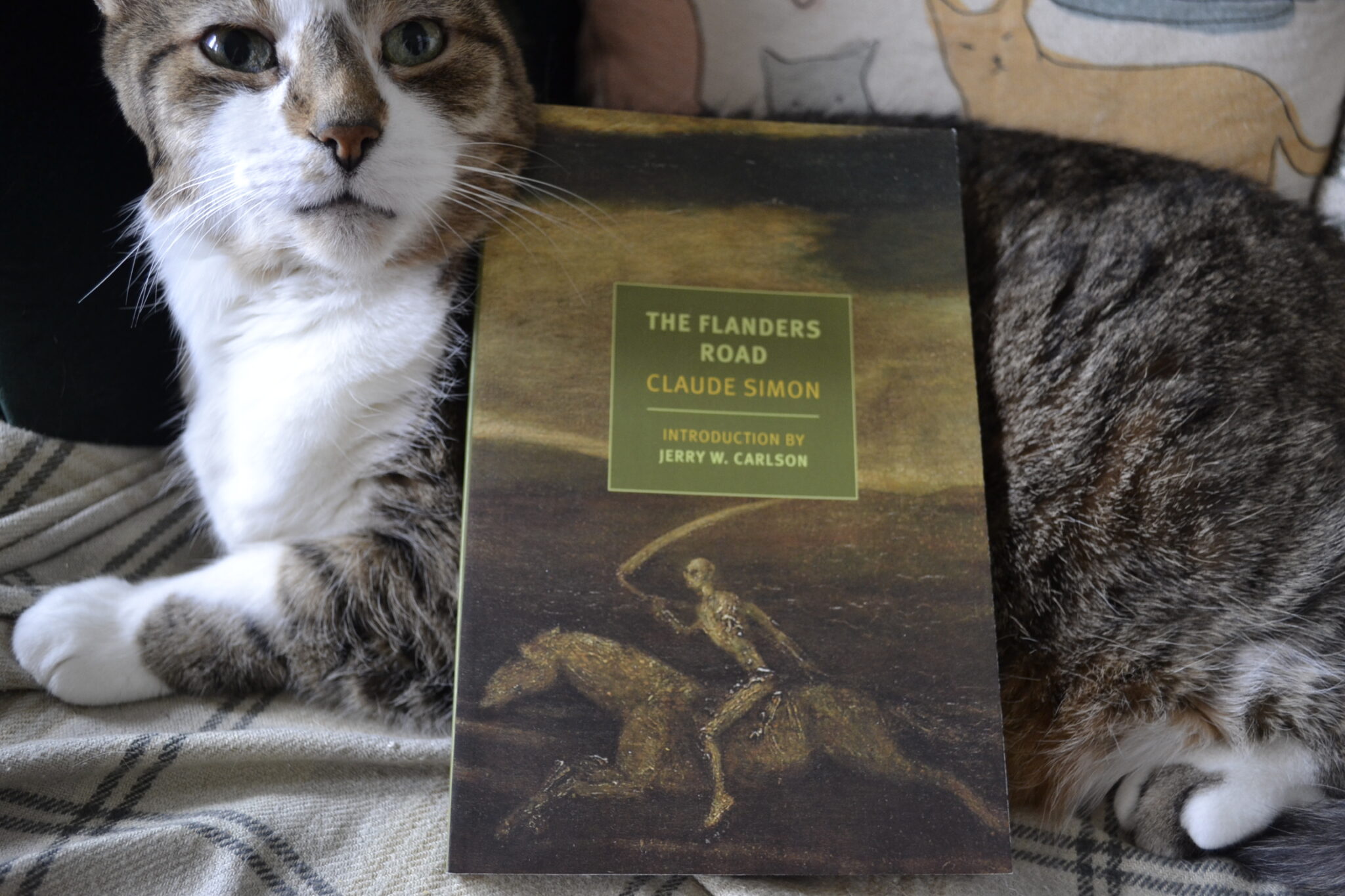 The Flanders Road – Old Paper & Cats, Reviews by S. Hargrave
