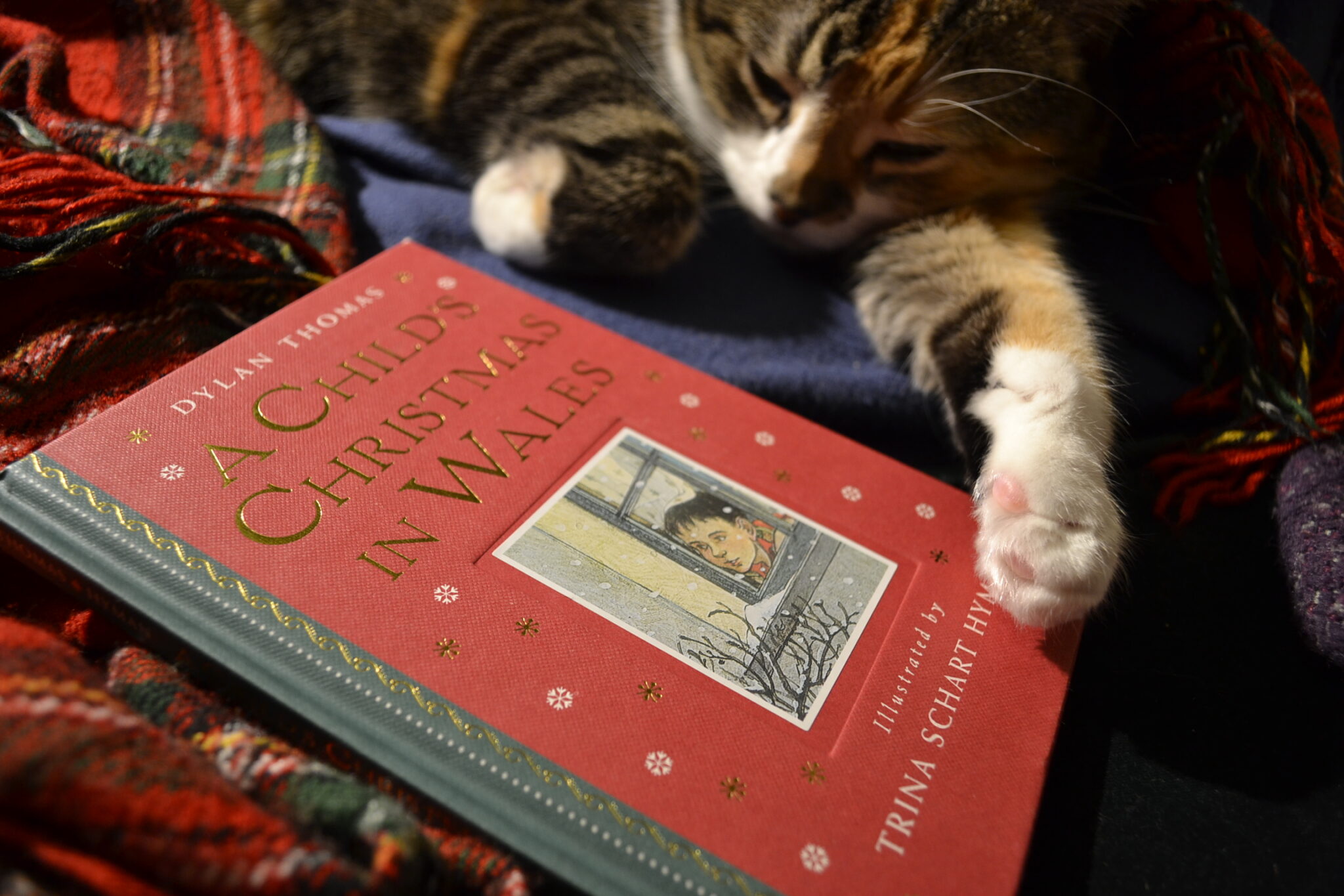 A Child's Christmas in Wales – Old Paper & Cats, Reviews by S. Hargrave