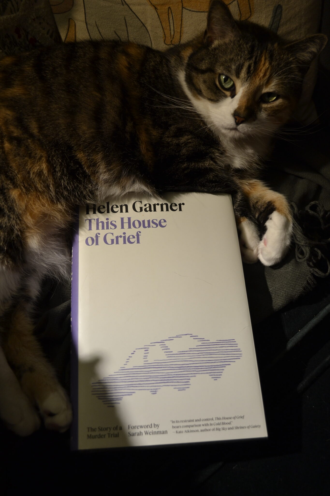 This House of Grief – Old Paper & Cats, Reviews by S. Hargrave