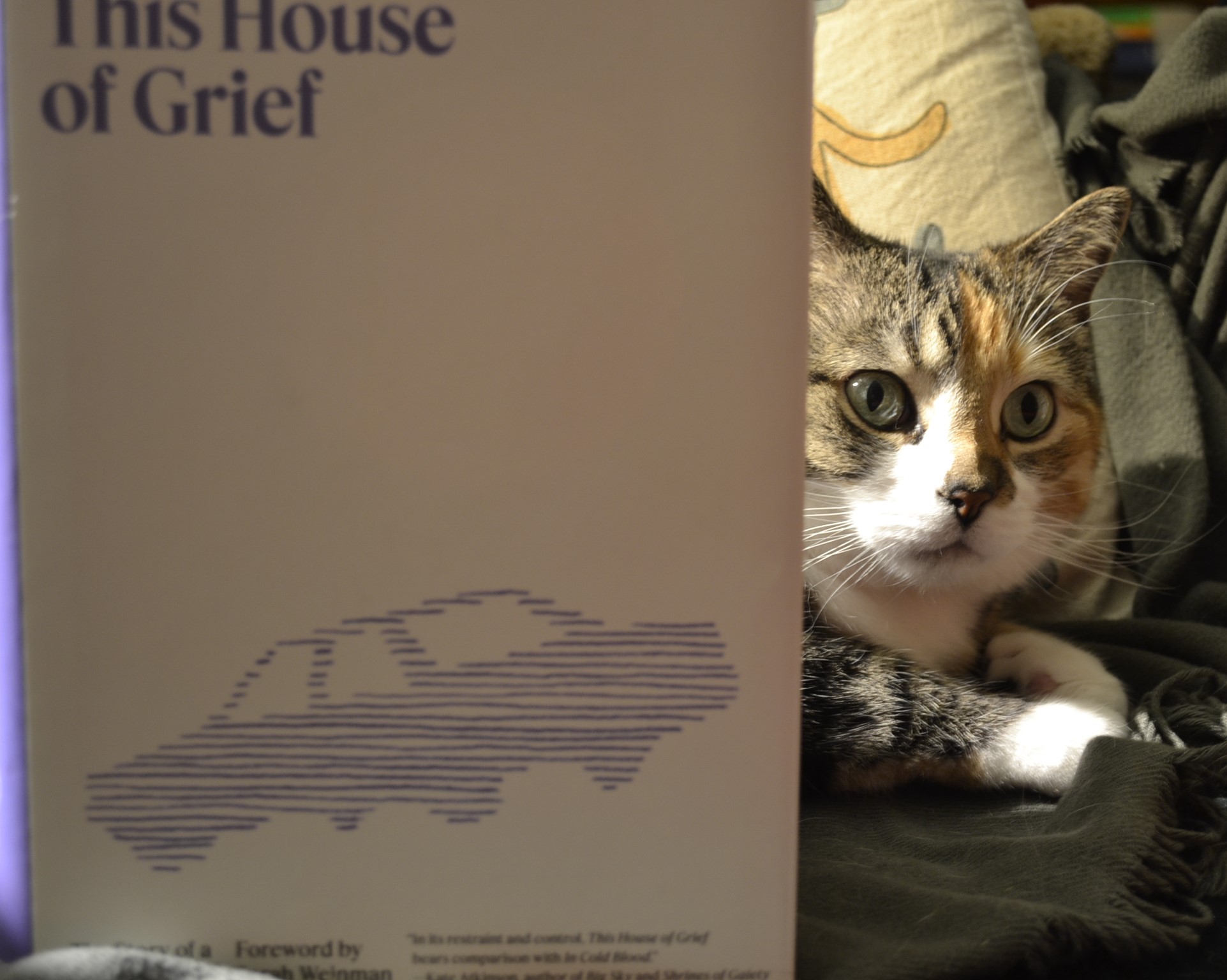 This House of Grief – Old Paper & Cats, Reviews by S. Hargrave