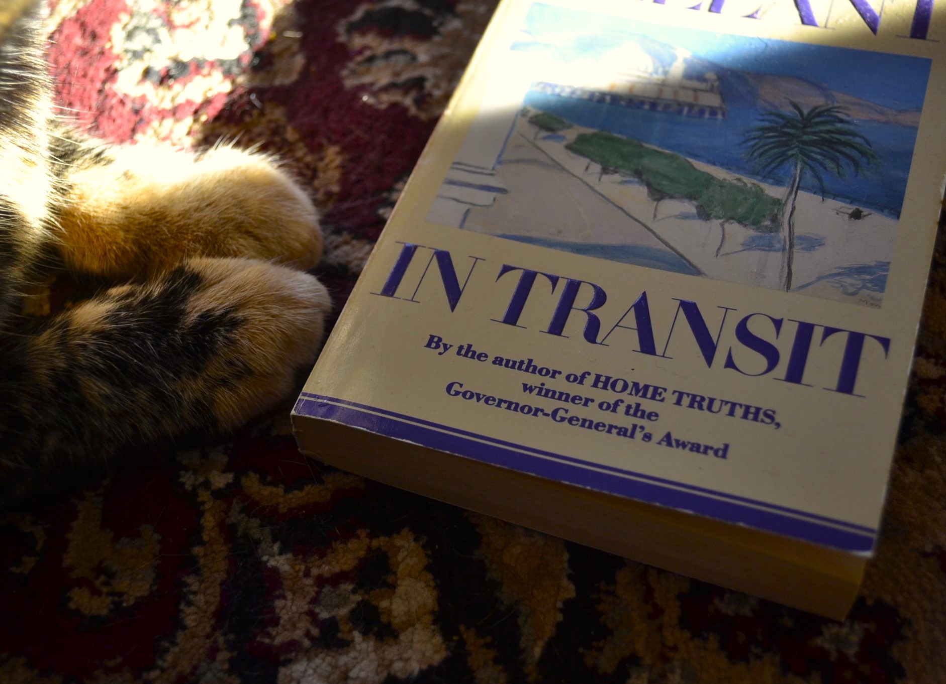 In Transit – Old Paper & Cats, Reviews by S. Hargrave