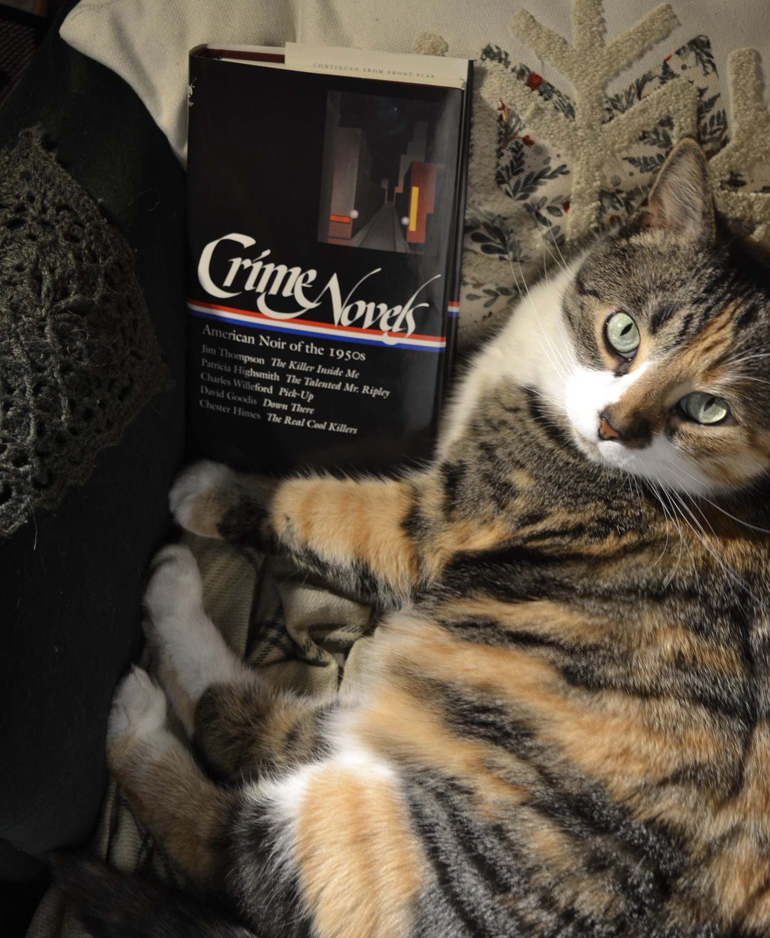 Crime Novels American Noir of the 1950s – Old Paper & Cats, Reviews by ...