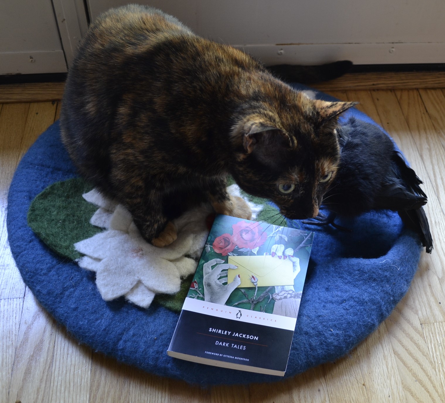 Dark Tales – Old Paper & Cats, Reviews by S. Hargrave