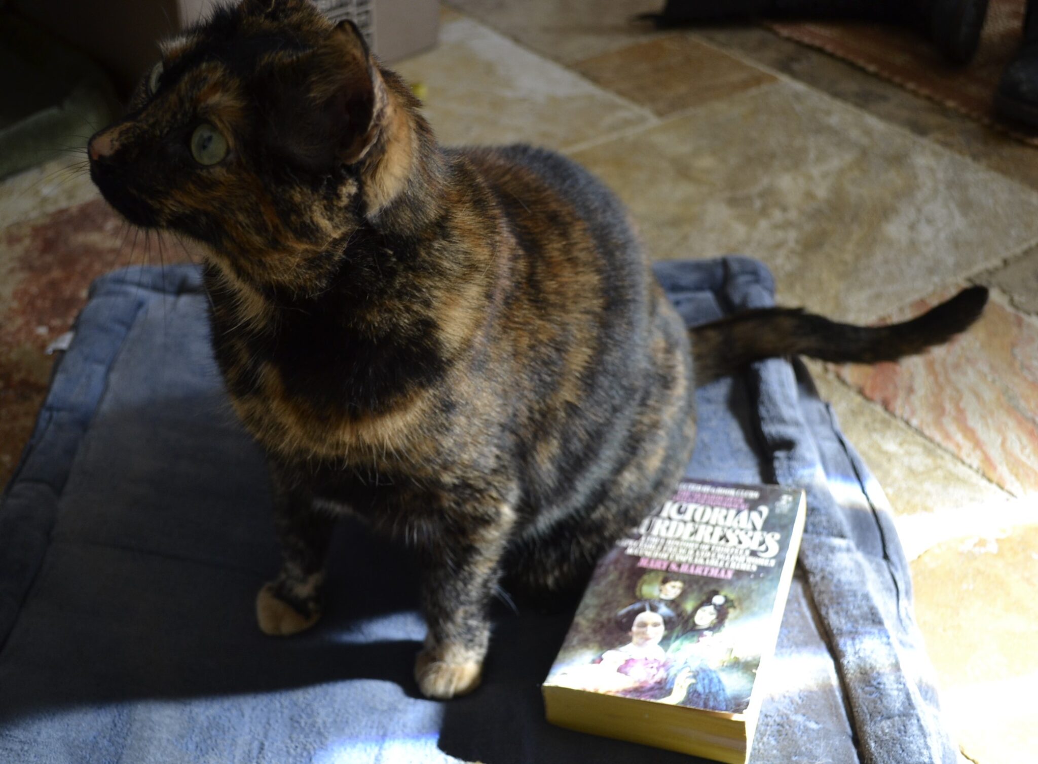 Victorian Murderesses – Old Paper & Cats, Reviews by S. Hargrave