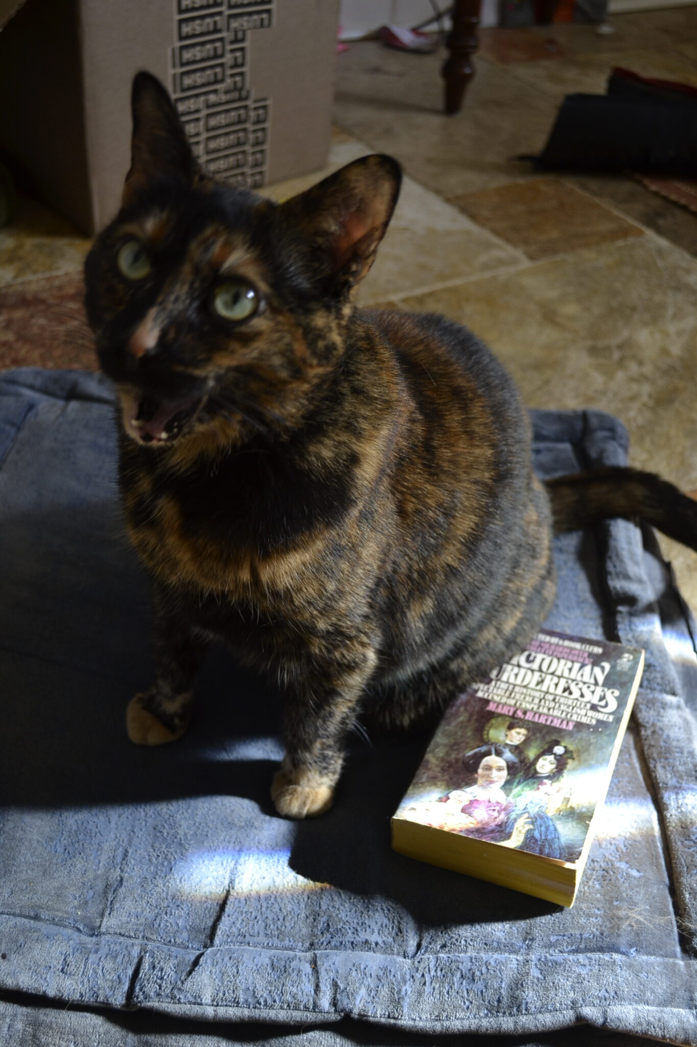 Victorian Murderesses – Old Paper & Cats, Reviews by S. Hargrave
